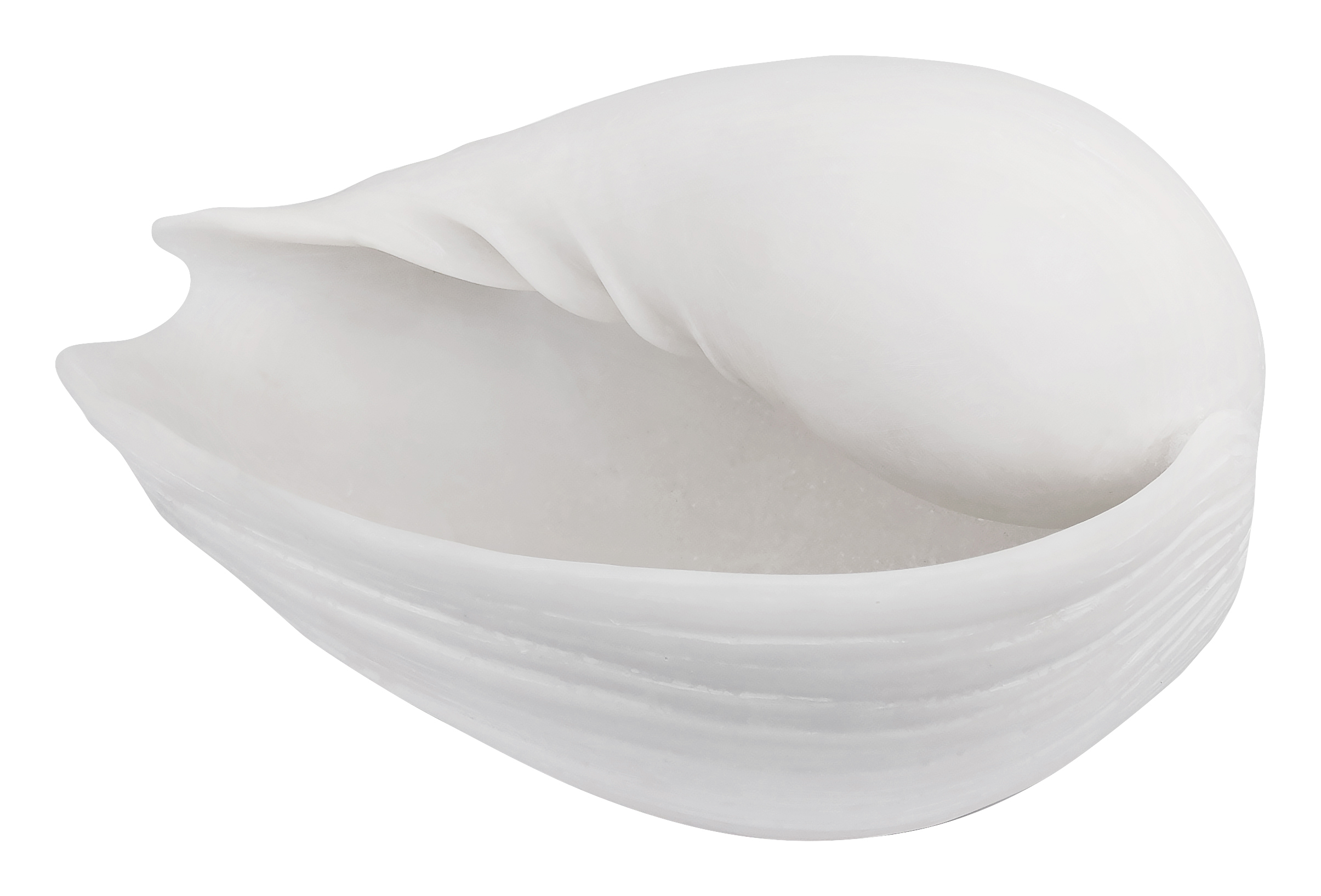 Mette Ditmer Conch Shell Dekorasjon Off-White Large - Sleepo